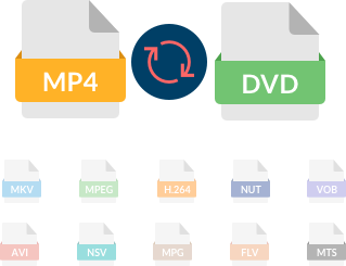 How to Convert MP4 to DVD Effortlessly